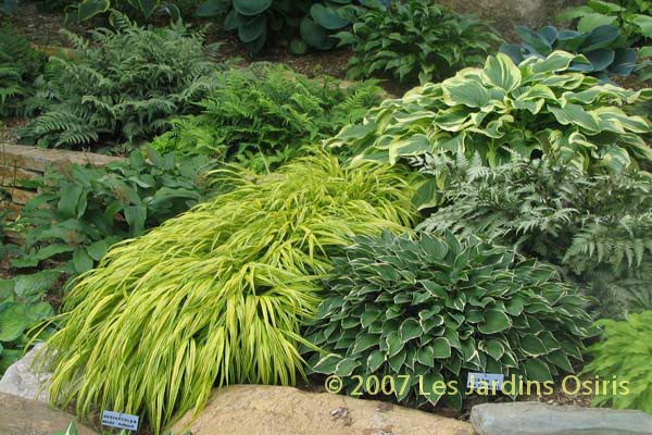 Les jardins Osiris-Jardin de démonstration