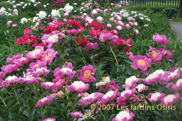 Les jardins Osiris-Jardin de démonstration