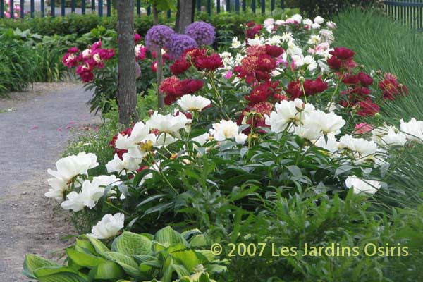 Les jardins Osiris-Jardin de démonstration