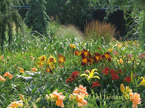 Les jardins Osiris-Jardin de démonstration
