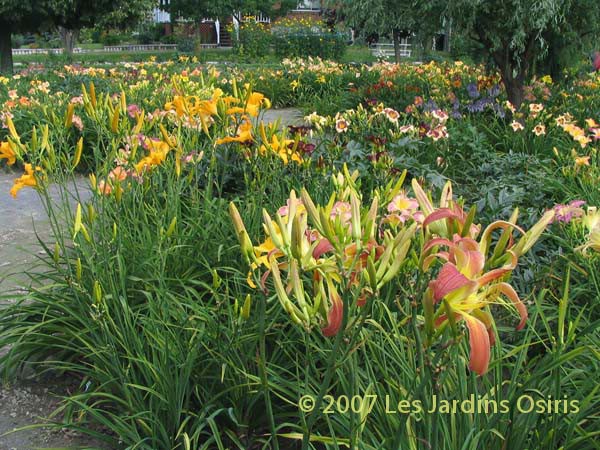 Les jardins Osiris-Jardin de démonstration