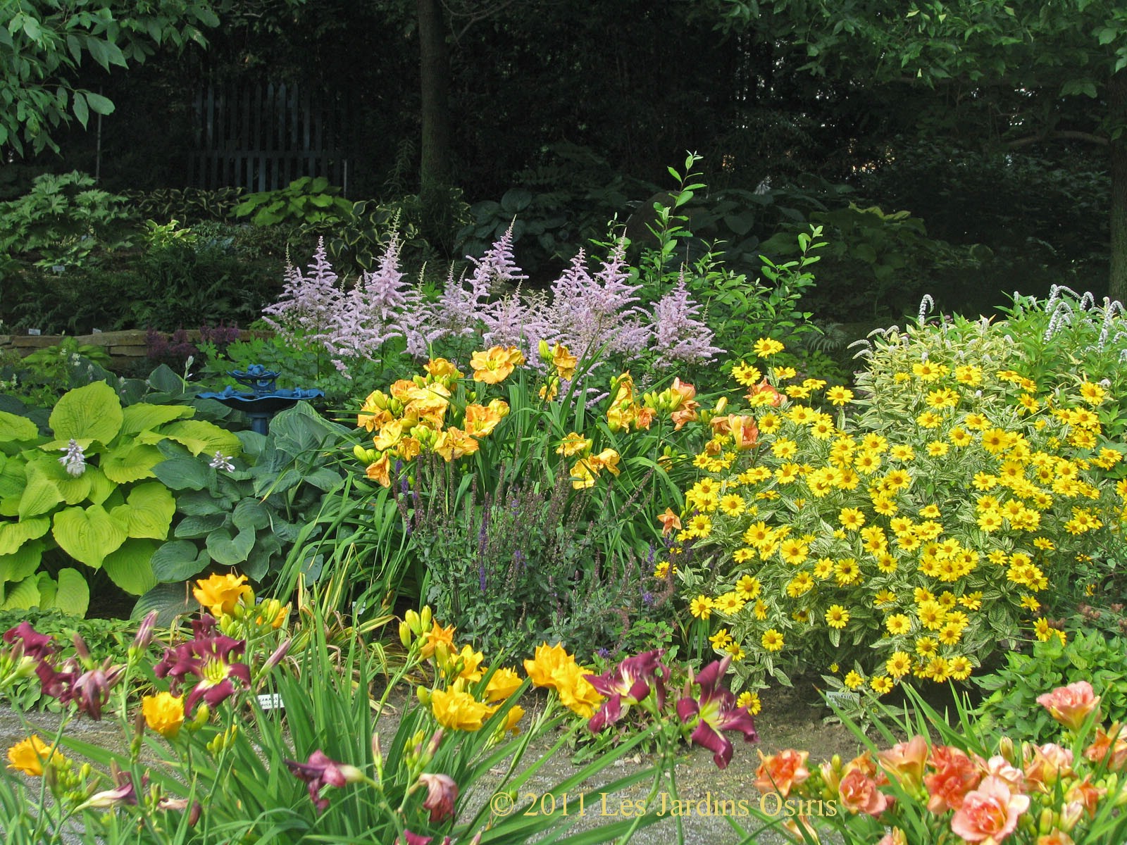 Les jardins Osiris-Jardin de démonstration