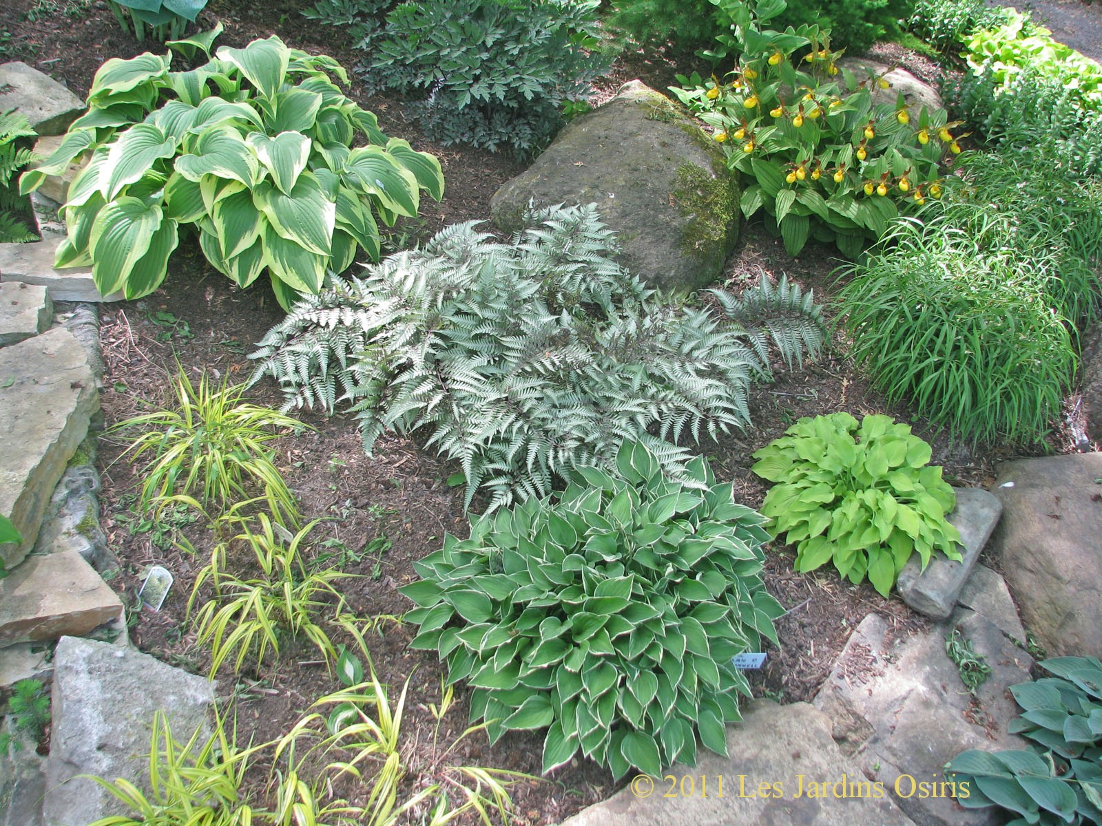 Les jardins Osiris-Jardin de démonstration