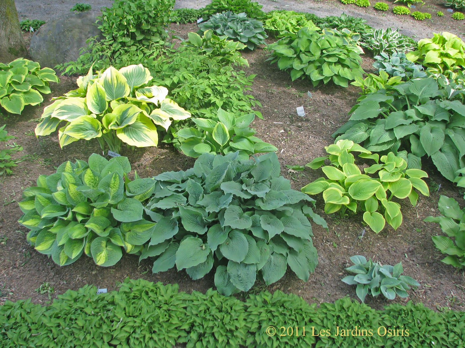 Les jardins Osiris-Jardin de démonstration