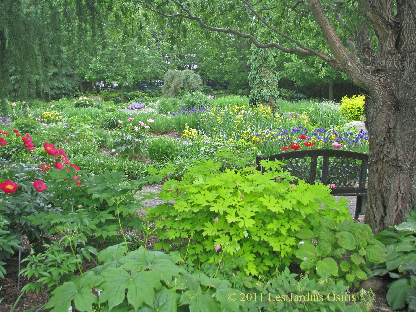 Les jardins Osiris-Jardin de démonstration