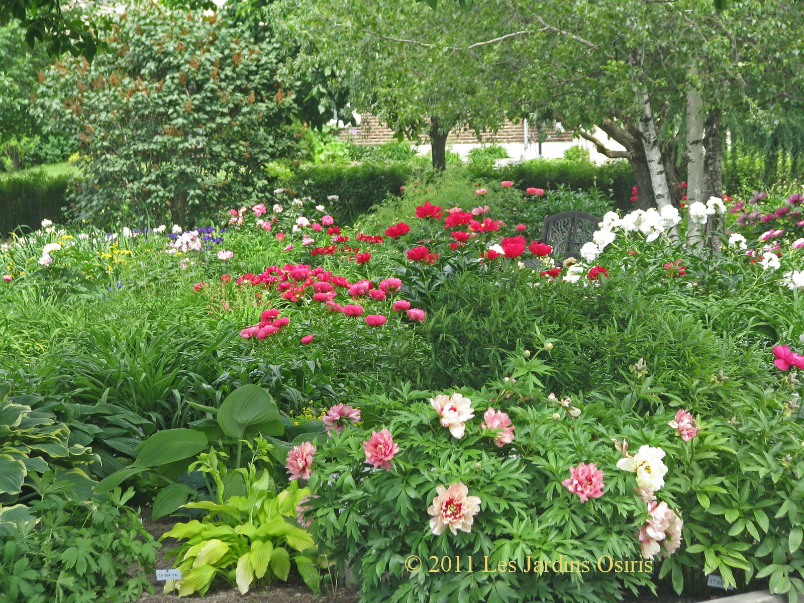 Les jardins Osiris-Jardin de démonstration