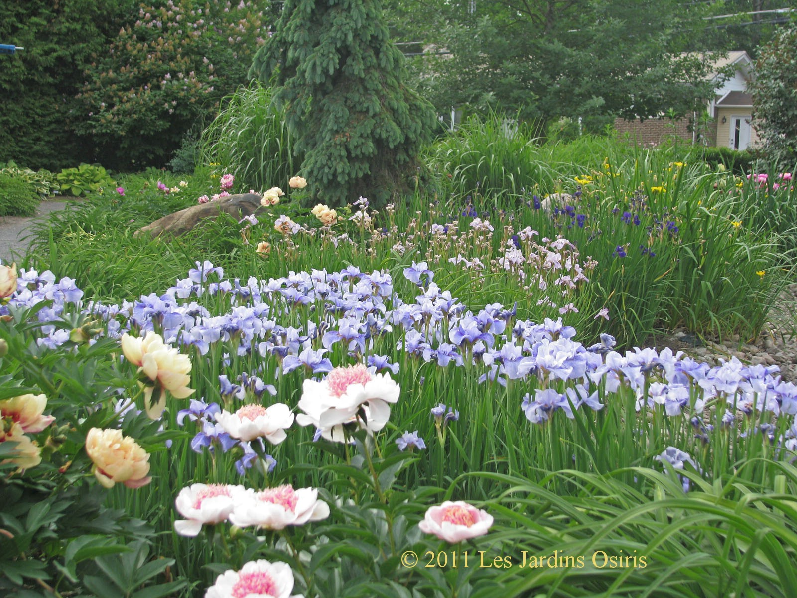 Les jardins Osiris-Jardin de démonstration